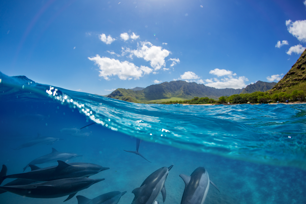 5 Awesome Island Escapes Around the World